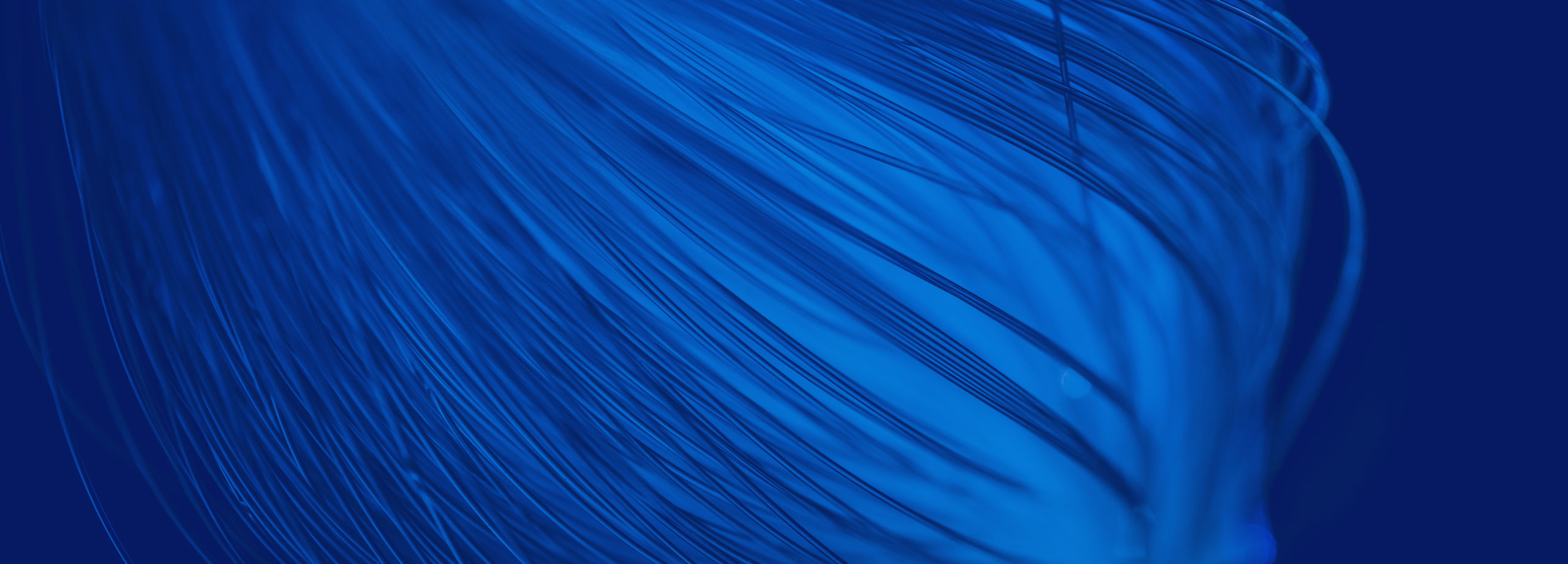 Ari Goldberger, Founding Partner | ESQwire | Free Consultations